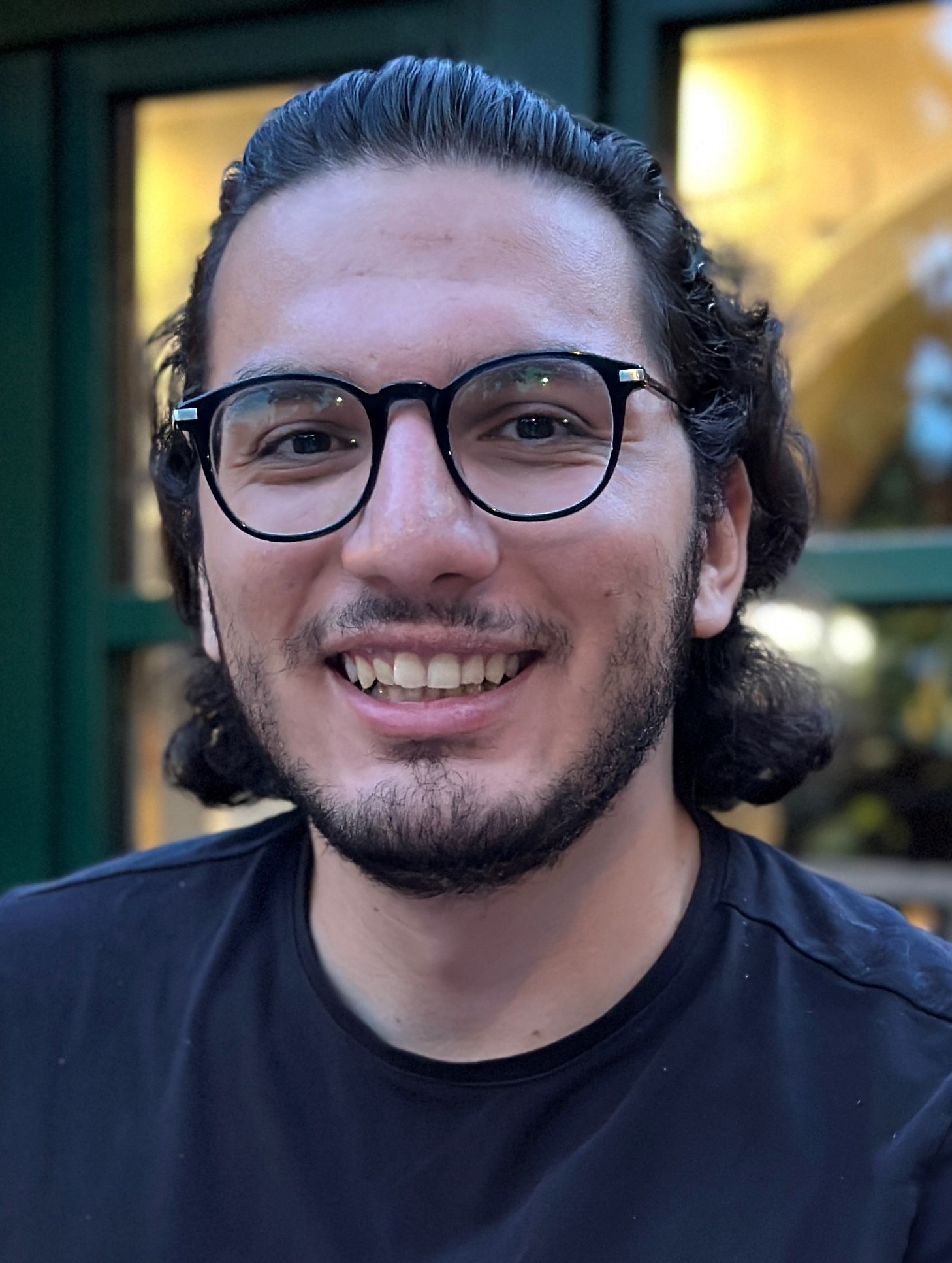 Radin Rahimi - Institute of Micro- and Nanostructure Research